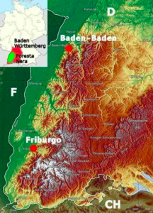 10 cosas a visitar en la Selva Negra - destino.alemania.es